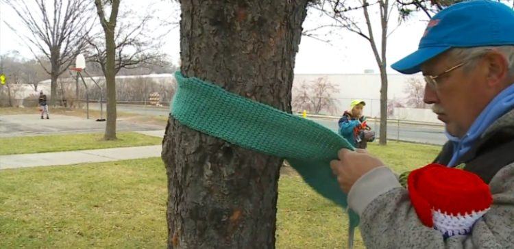 When You See a Scarf on a Tree, Here’s Why