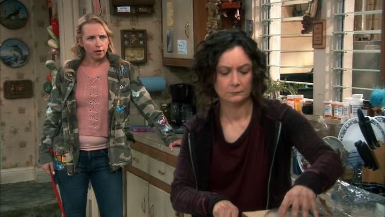 13 Fun Facts You Never Knew About “Roseanne”