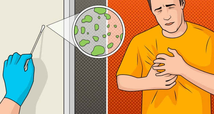 13 Symptoms of Mold Illness Everyone Needs to Know