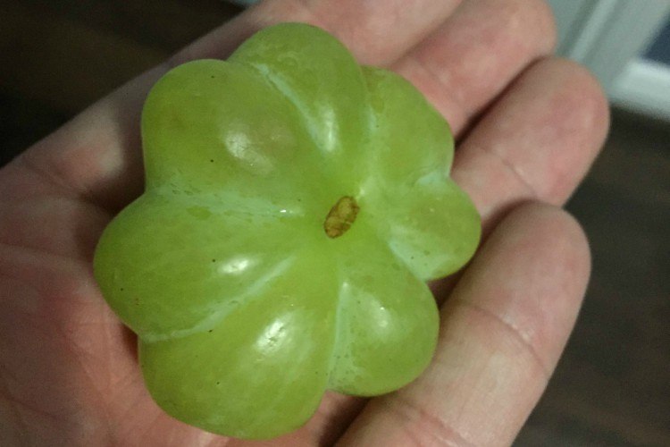 15 Eerie Pictures of Mutant Fruit