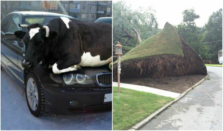 23 Examples of People Who Are Definitely Having a Worse Day Than You