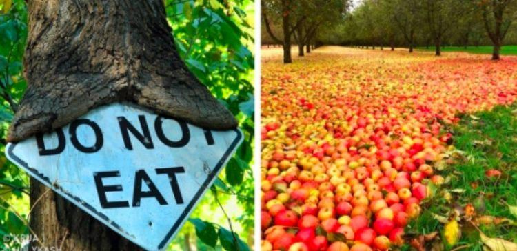 17 Photos That Prove Nature is So Much More Powerful Than You Are