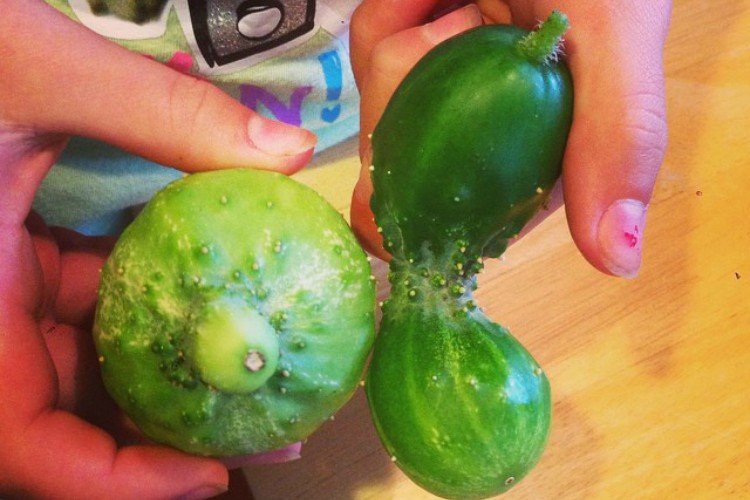 15 Eerie Pictures of Mutant Fruit