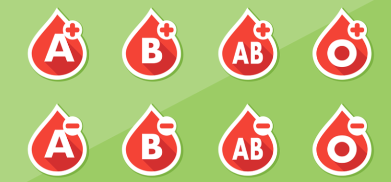 What are the Different Blood Types and What Do They Mean?