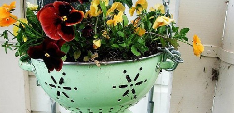 15 Genius Ways to Pot Plants without Planters