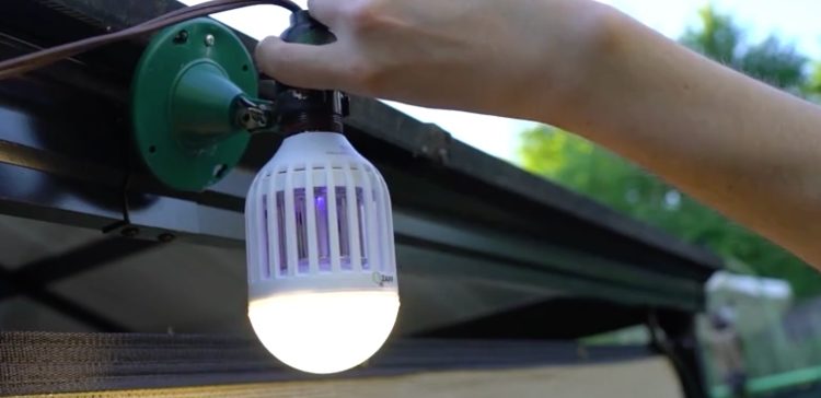 These 5 ‘As Seen On TV’ Pest Control Gadgets Were Tested to See Which ...