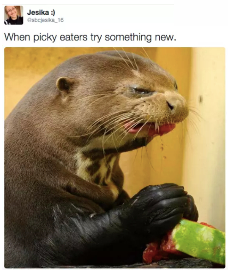 19 Memes That Will Only Picky Eaters Will Understand