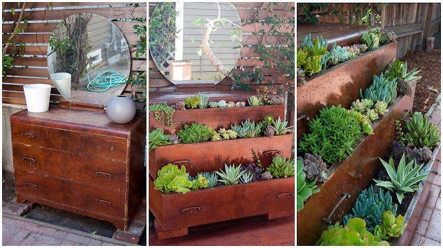 15 Genius Ways to Pot Plants without Planters