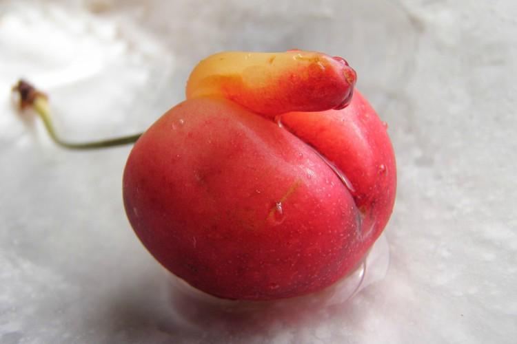 15 Eerie Pictures of Mutant Fruit