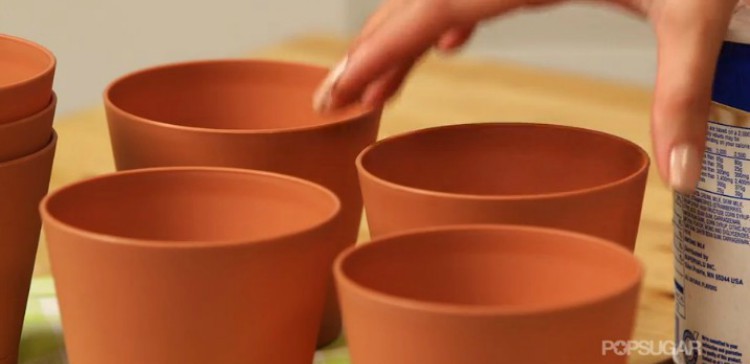 How To Make Edible Flower Pots