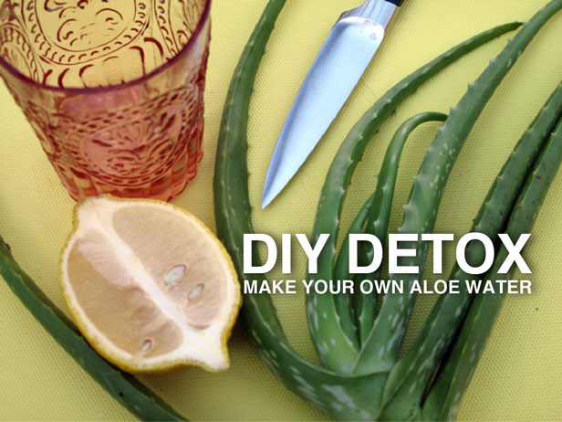 It’s Easy to Lose Weight with These 22 Detox Water Recipes