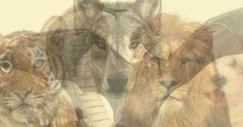 Which Animal Did You See First? Here’s What Your Answer Means.