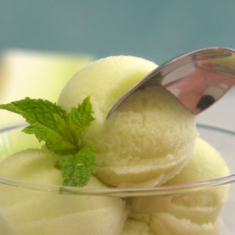 Fruit Sorbet 4 Ways