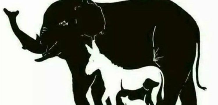 There Are 16 Animals in This Picture. Can You Find Them All?