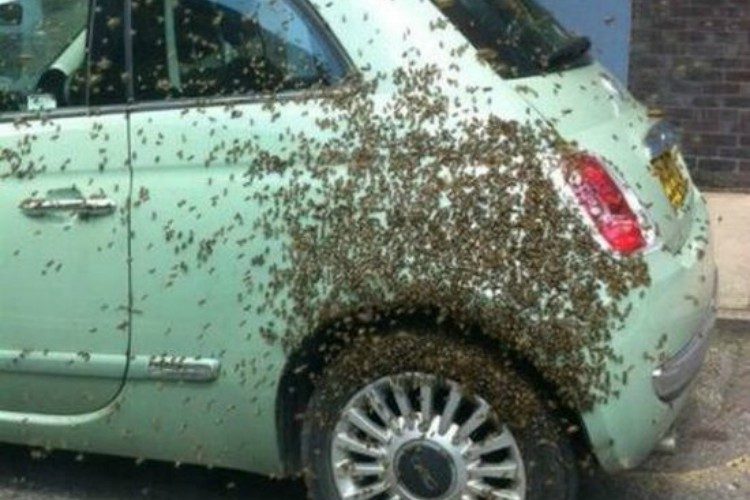 23 Examples of People Who Are Definitely Having a Worse Day Than You