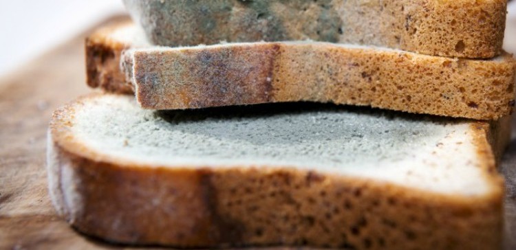 Is It Safe to Pick Off the Mold From Bread and Eat the “Good” Part?