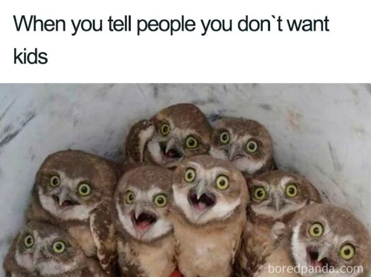 These 15 Memes Will Only Be Funny If You Don’t Have Kids