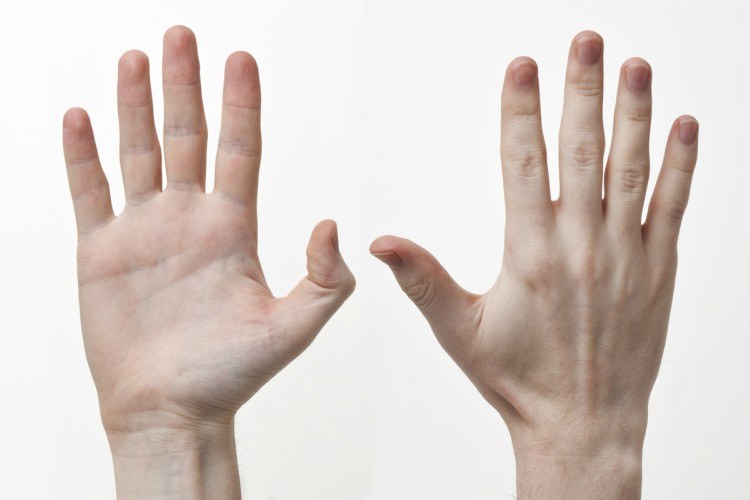Here’s What the Size of Your Pinkie Says About You