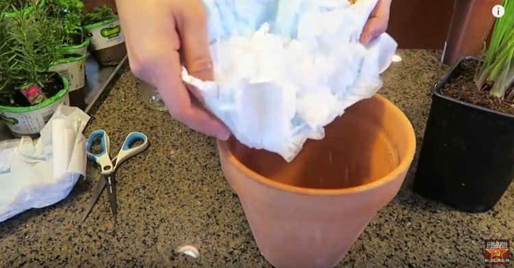 6 Genius Gardening Tricks You’ll Use from Now On