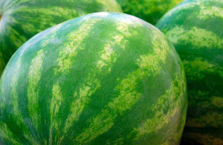 Here Are 7 Traits That Warn You That the Watermelon You’re About to ...