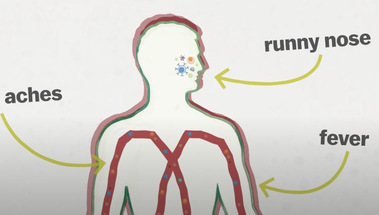 Why Vaccine Side Effects Can Actually Be a Good Thing