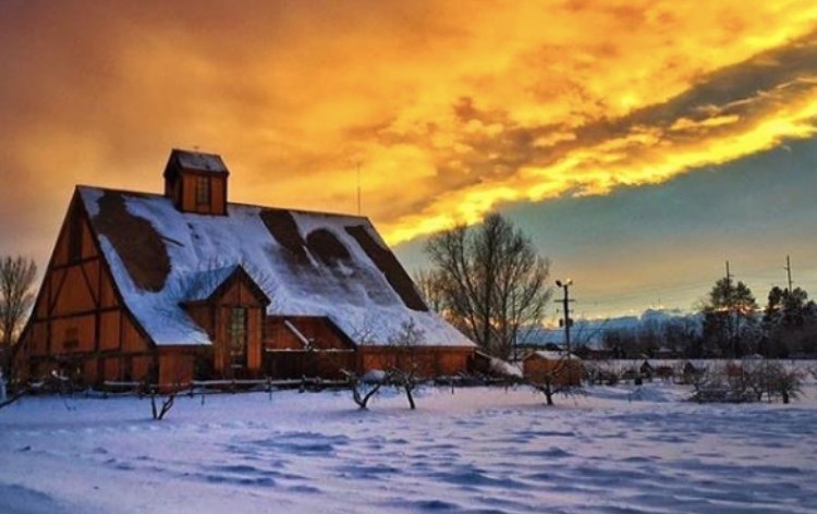 Here Are 13 of the Most Charming Farms in America