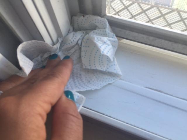 Simple Step-by-Step Guide For Cleaning Dirty Window Tracks