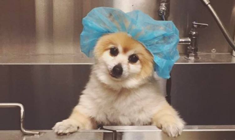 9 Reasons to Take the Hotel Shower Cap Home