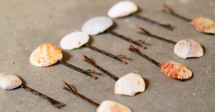 15 Creative Ways To Use Seashells At Home