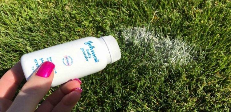 9 Helpful Ways That You Can Use Baby Powder Outside