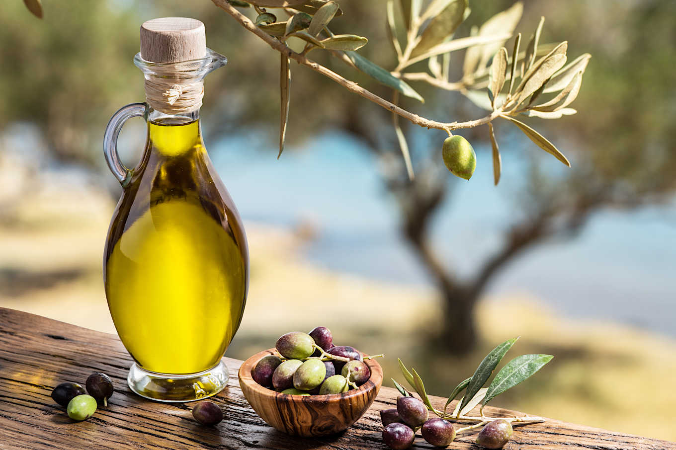 4 Olive Oil Facts That May Surprise You and How To Get The Health 4 Olive Oil Facts That May Surprise You and How To Get The Health