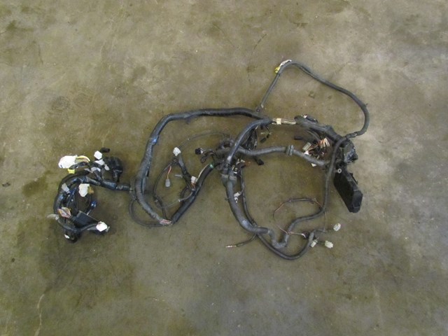 2004 Infiniti G35 Coupe Engine Bay Harness 24012-AM861 SEE PICS in Avon ...