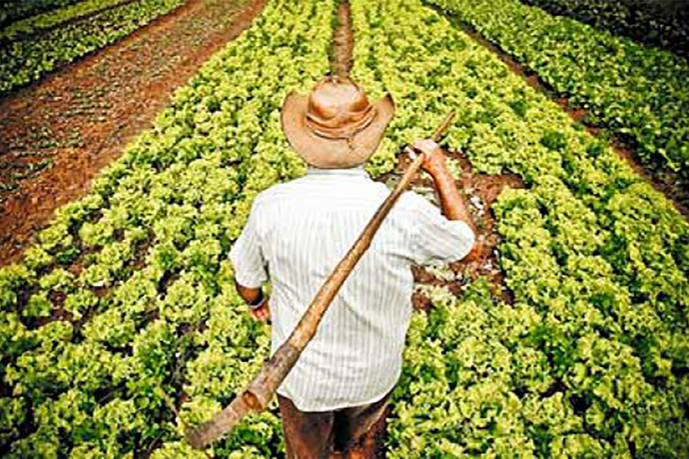 Governo do Amazonas já investiu mais de R$ 100 milhões no setor ...