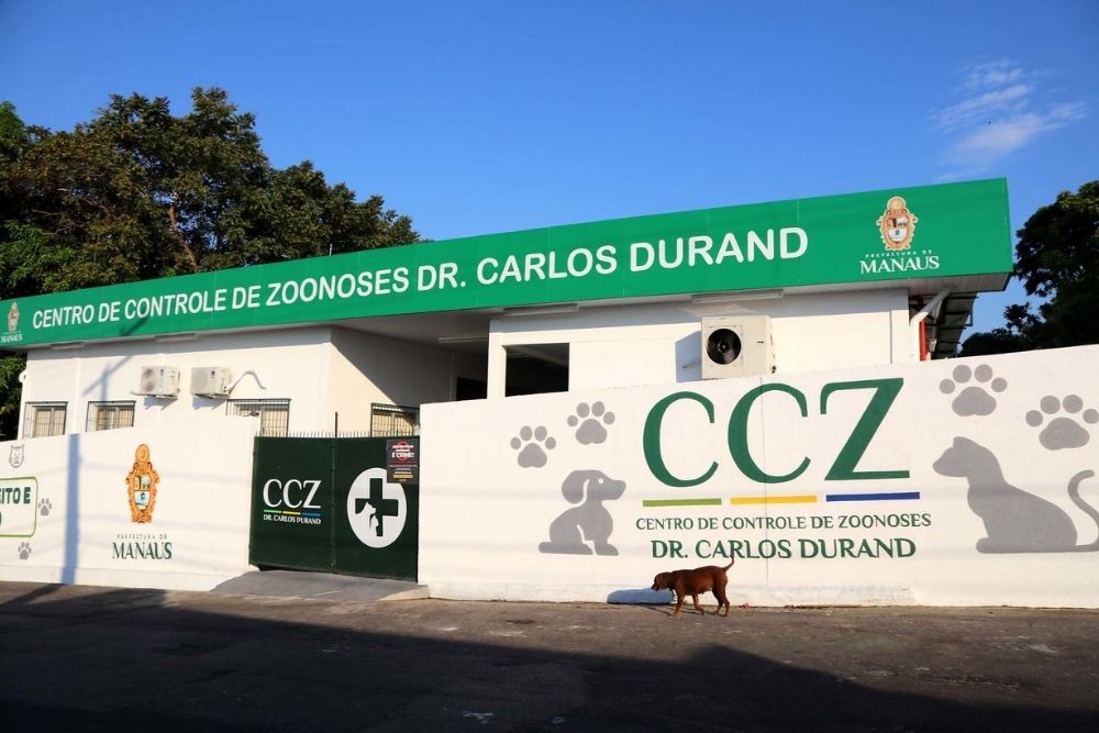 Centro de Controle de Zoonoses CCZ - cachorro - Foto Mário Oliveira ...