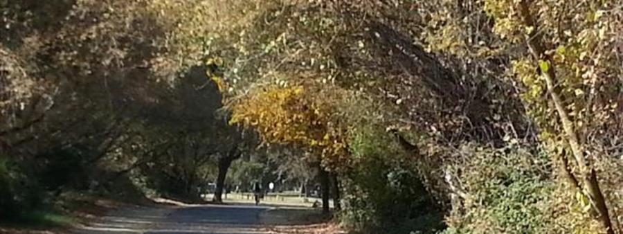 The Cornucopia Of Fun - November 27, 2014
