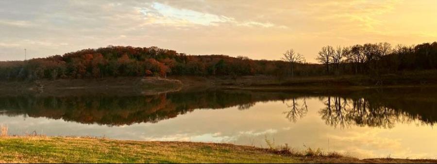 The Backland - December 7, 2024