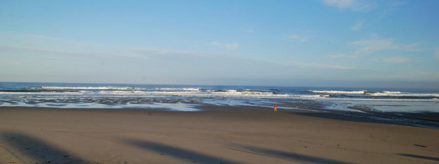 Race Preview: 2015 Run the Devils Sand Box - Run Oregon