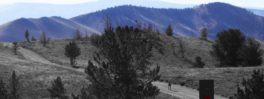 Jelm Mountain Run - September 25, 2021