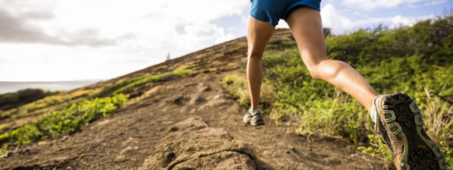 North Shore Trail Running Camp - March 25, 2017