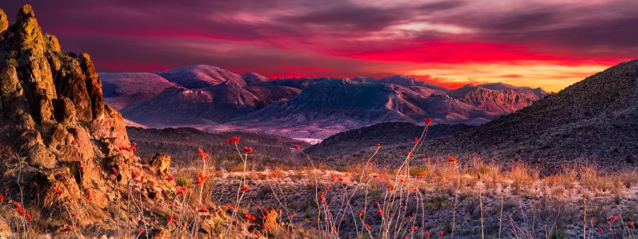 The Border to Badlands Ultra - February 25, 2023