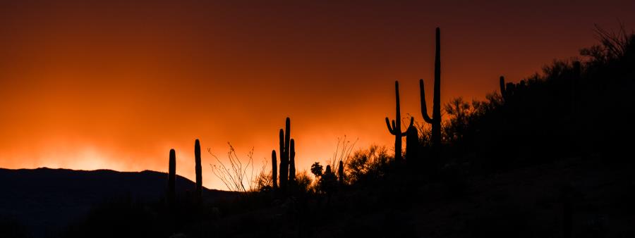 Arizona Monster 300 - April 4, 2025