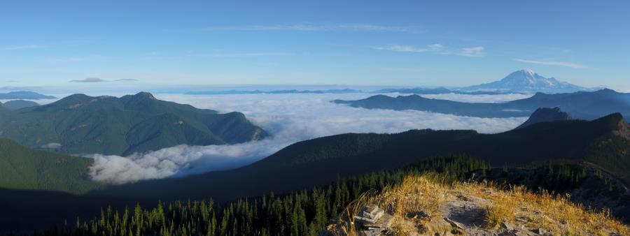 Dark Divide Trail Races - August 28, 2020