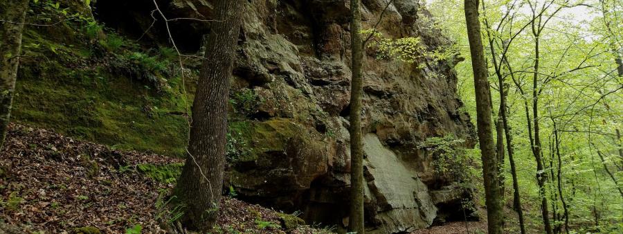 OHT FA 40 - March 9, 2025