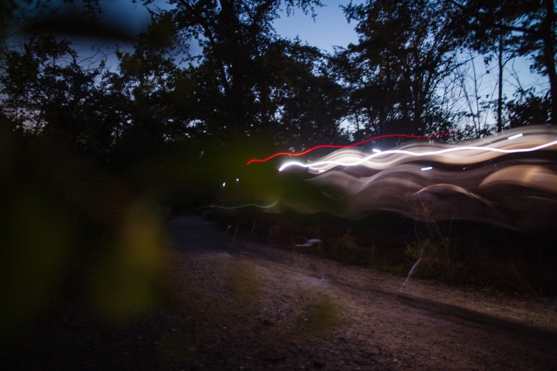 Night Moves Trail Race - October 22, 2016