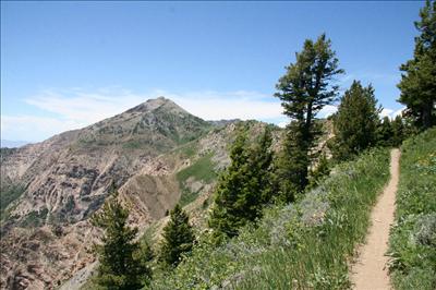 Skyline Mountain Marathon - August 20, 2016