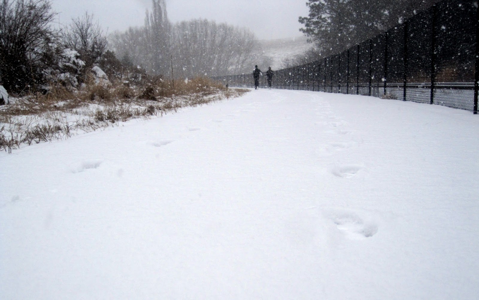 Pullman Winter Ultras - Dec - December 13, 2014