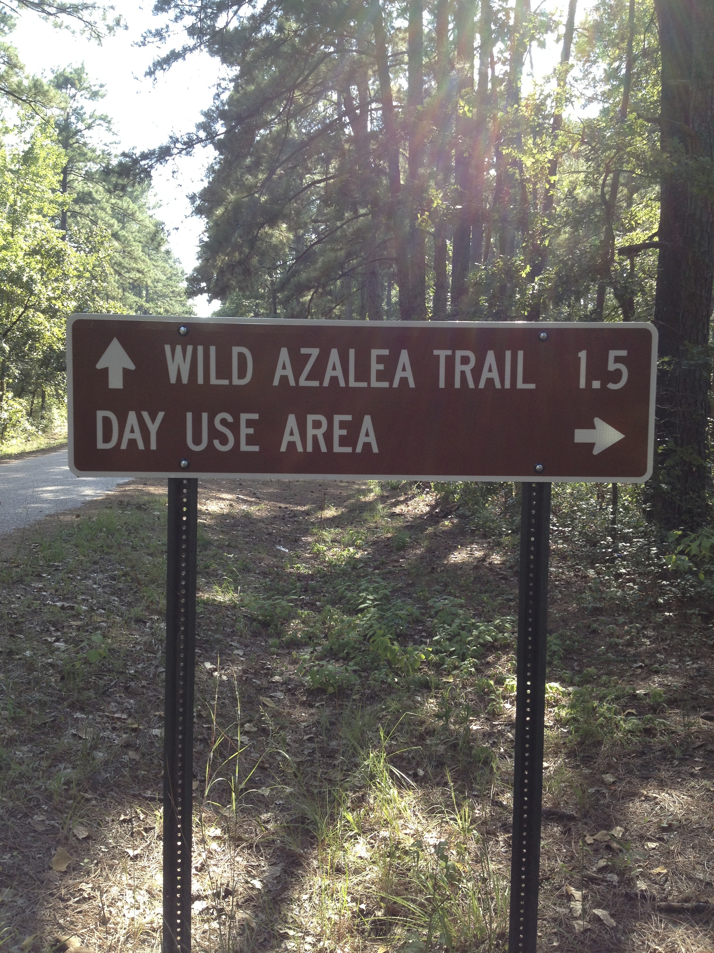 Wild Azalea Trail Challenge - January 3, 2015