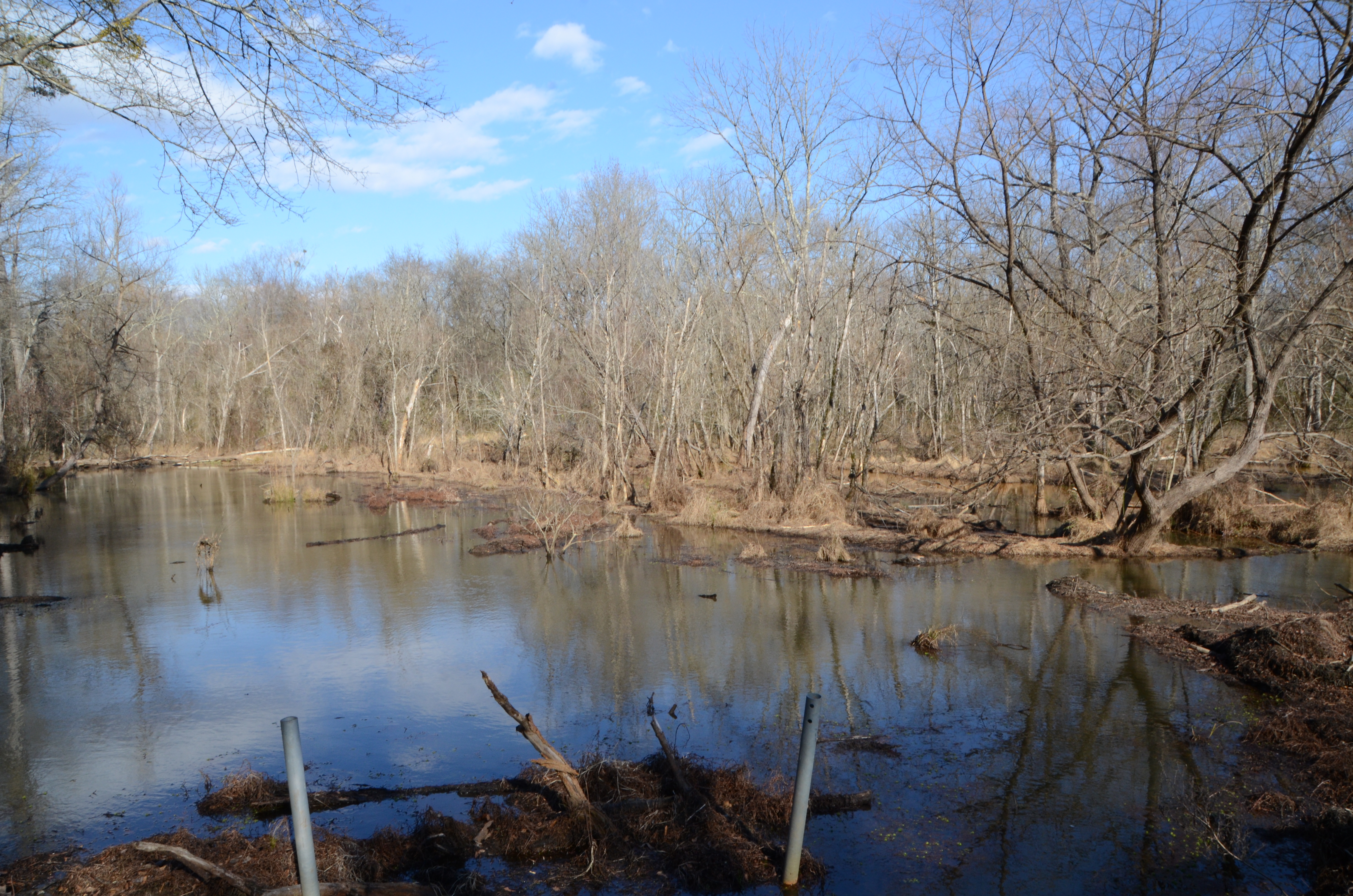 Swamp Rabbit Trail Urban Ultra - October 3, 2015