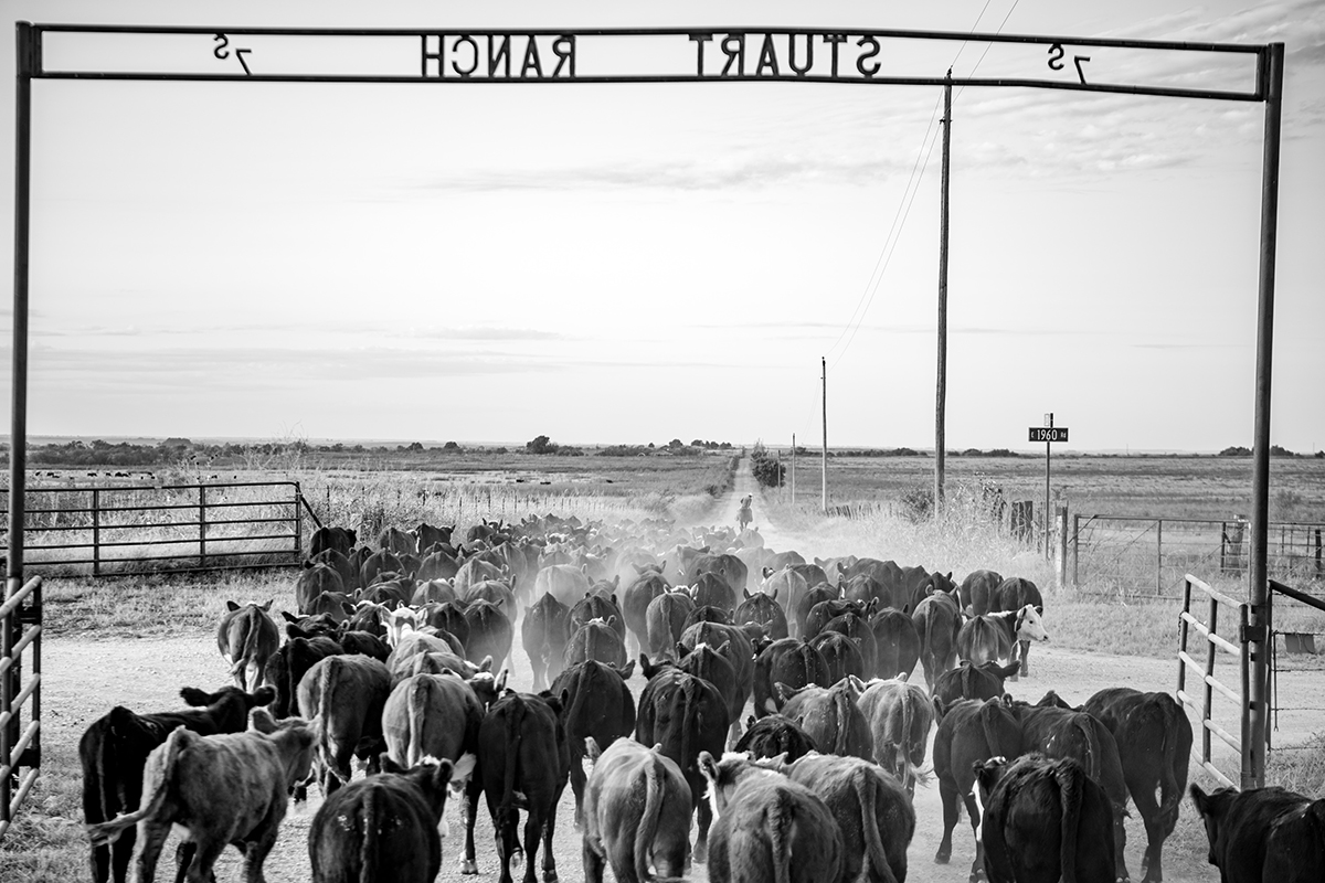 Life on the Stuart Ranch - Western Life Today