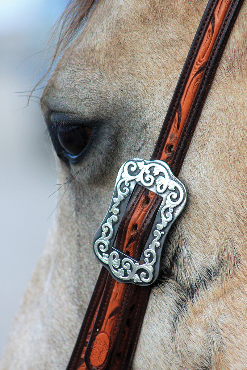 Baru Forell Excels as Silversmith - Western Life Today